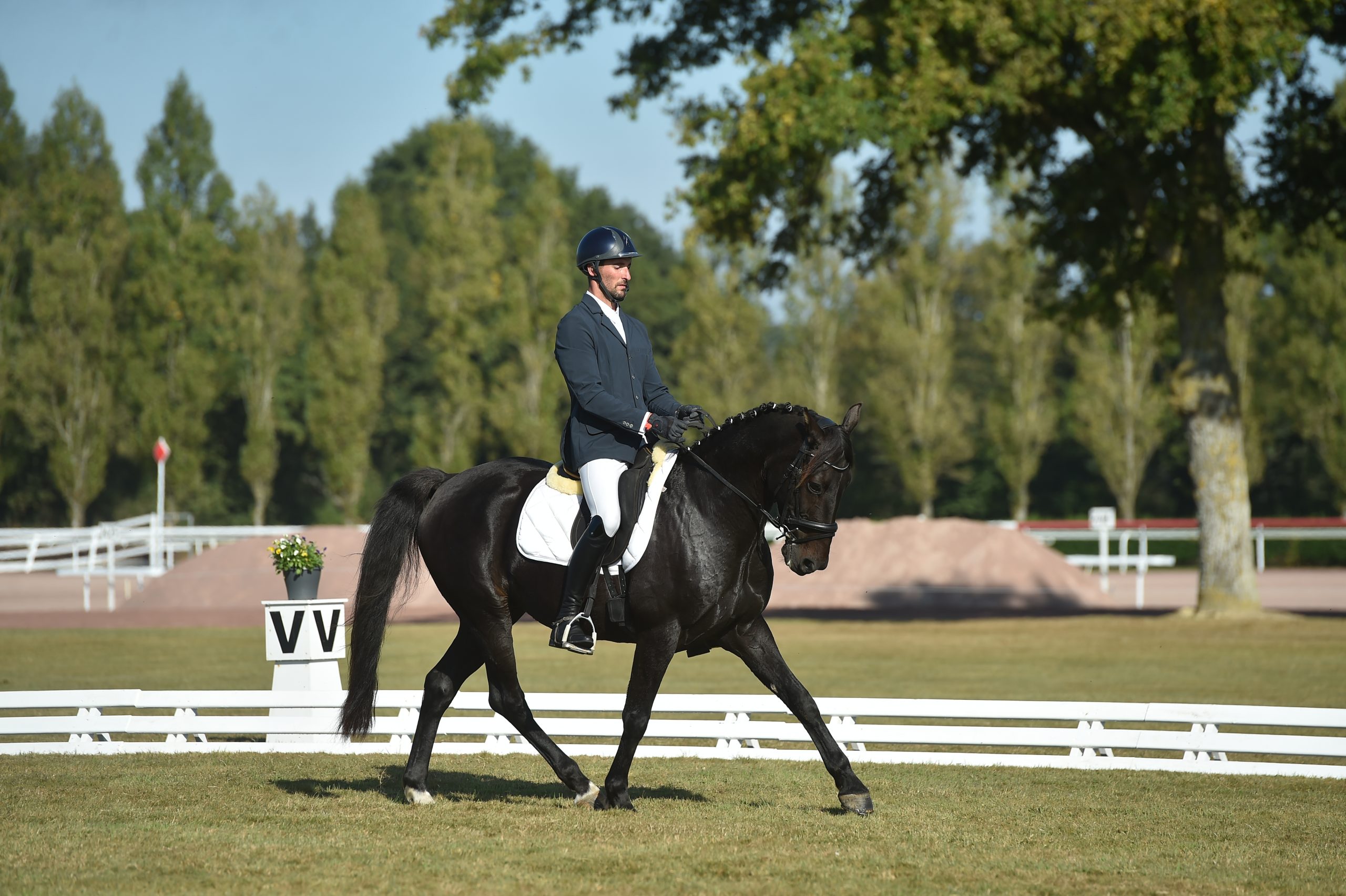 Dressage - Centre équestre de Valaly